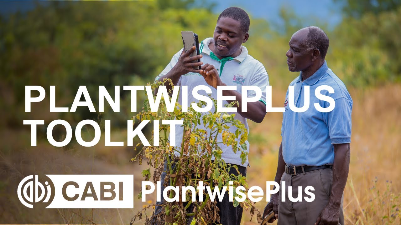 PlantwisePlus Toolkit - YouTube
