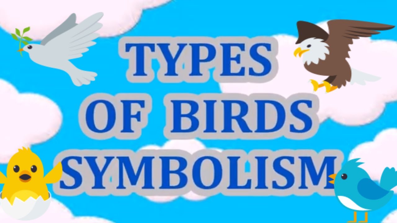 TYPES OF BIRD SYMBOLISM IN THE WORLD - YouTube
