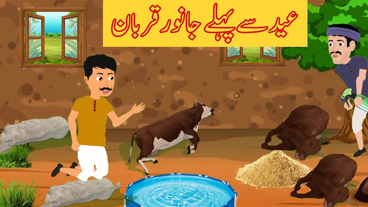 Eid Sy Pehly Janwar Qurban | Qurbani ke janwar | Bakra eid special ...