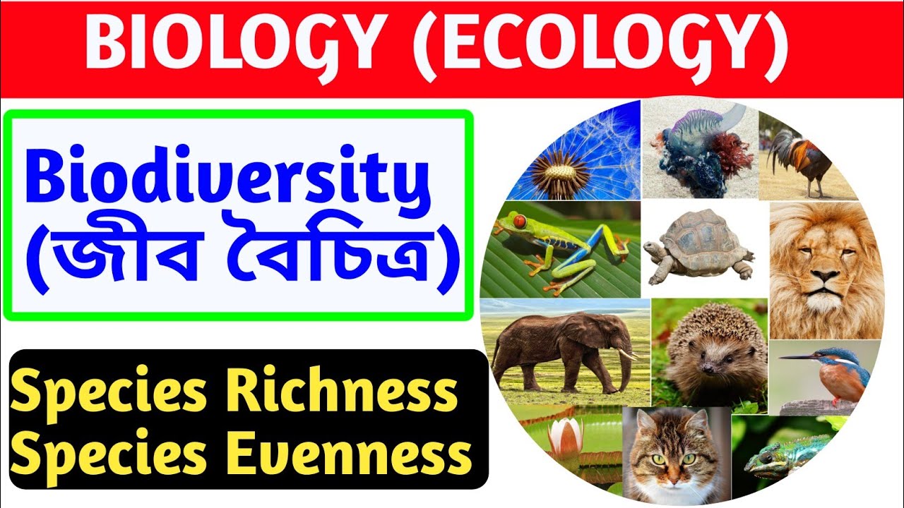 Biodiversity - Diversity of living organisms/Megadiversity nation ...