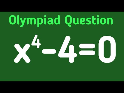Fourth Degree Equation #Olympiad #Equation #Mathematics - YouTube