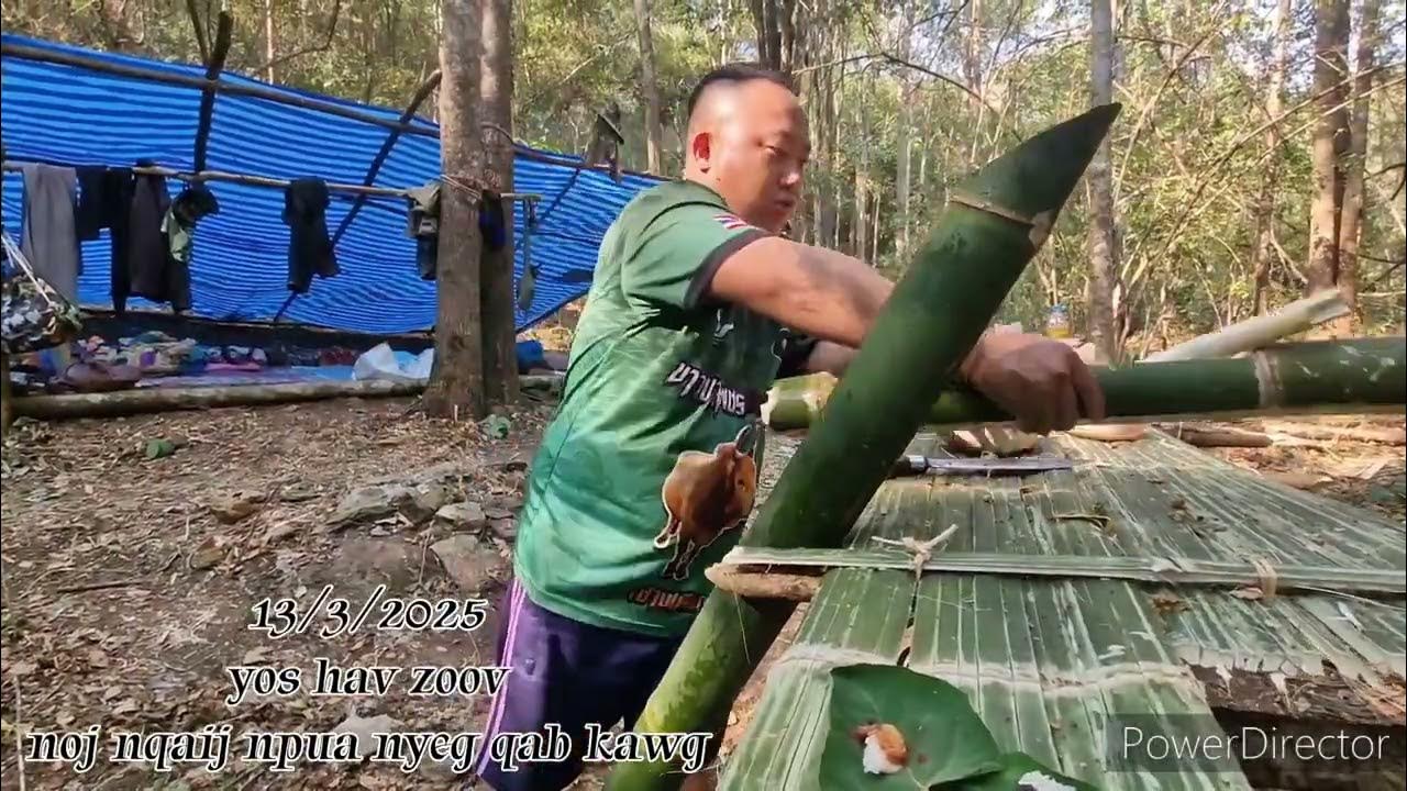 Yos hav zoov tua npua teb - YouTube