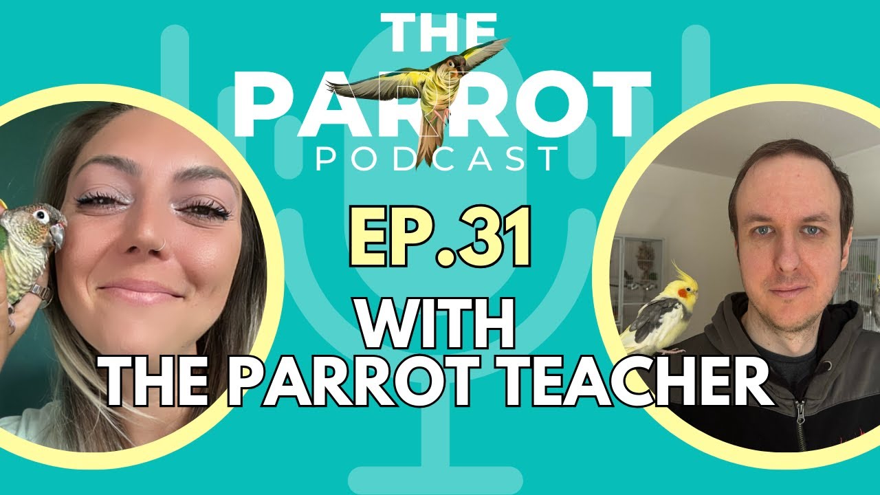 Rescue & Disabled Birds, How to Make Seeds Healthy, Flock of 8, Biting ...