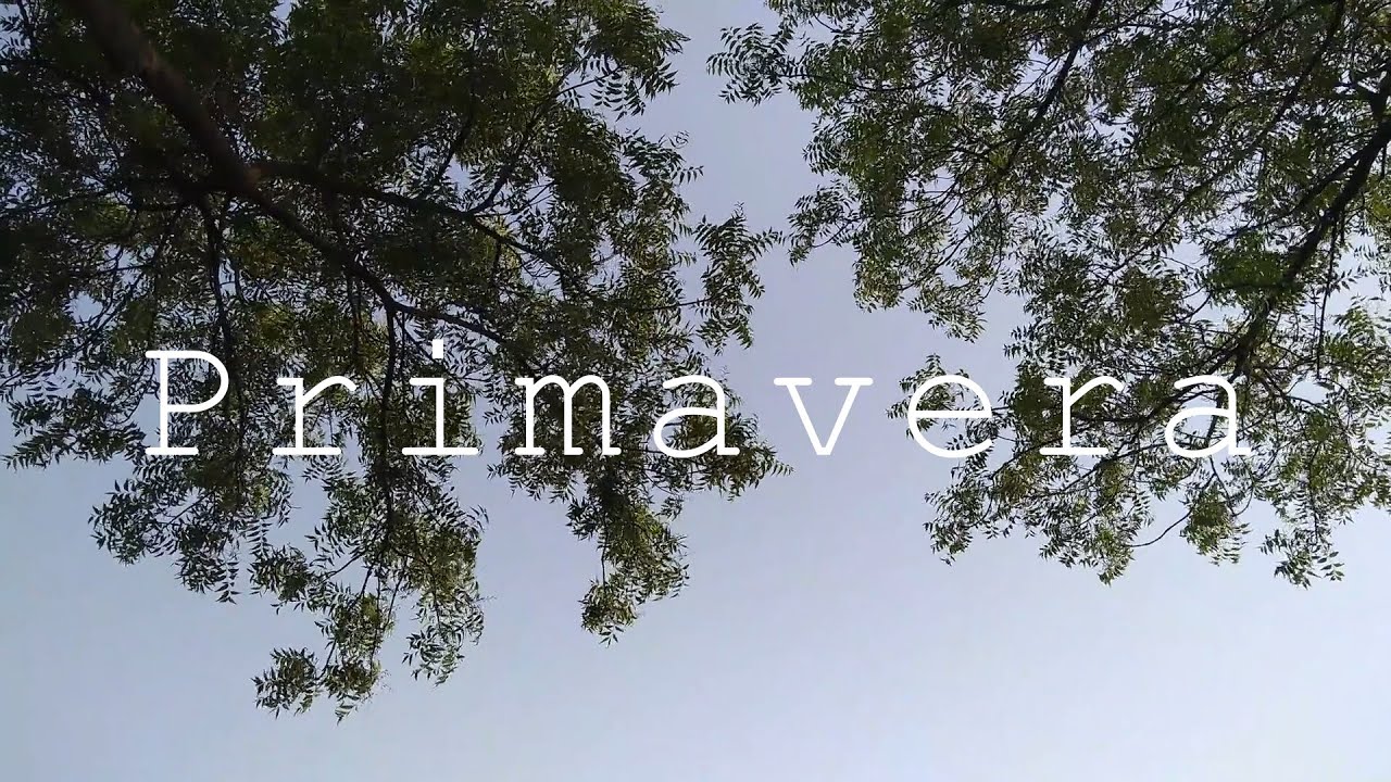 Primavera - YouTube