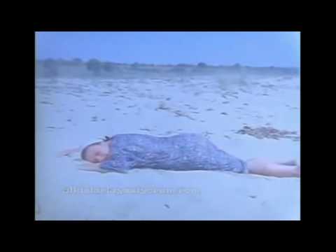 Eva Notty   Ariella Ferrera and Lisa Ann and Nikki Benz   My Friend's Hot Mother,Lisa Ann, Diamond J