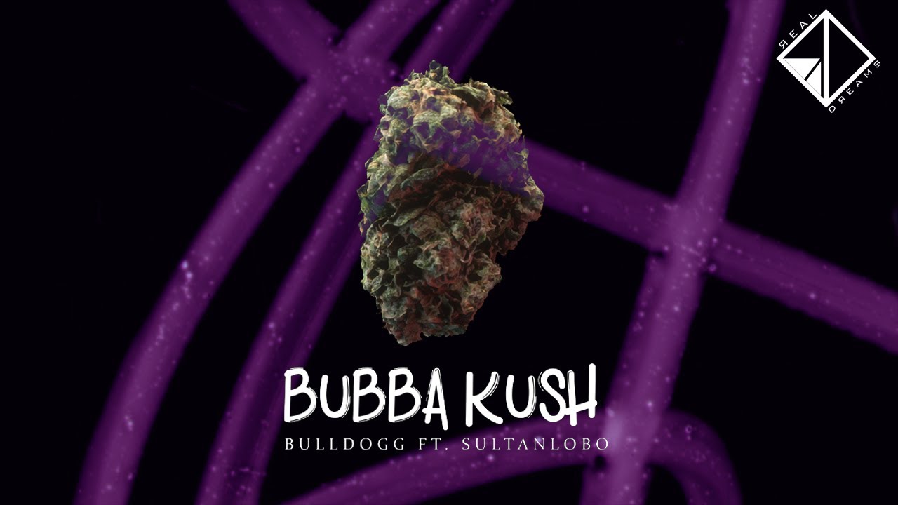 Bubba Kush - Bulldogg x Sultanlobo - Real Dreams (Official Music Video ...