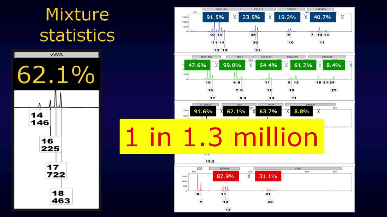 Statistical weights of mixed DNA profiles (HD version) - YouTube