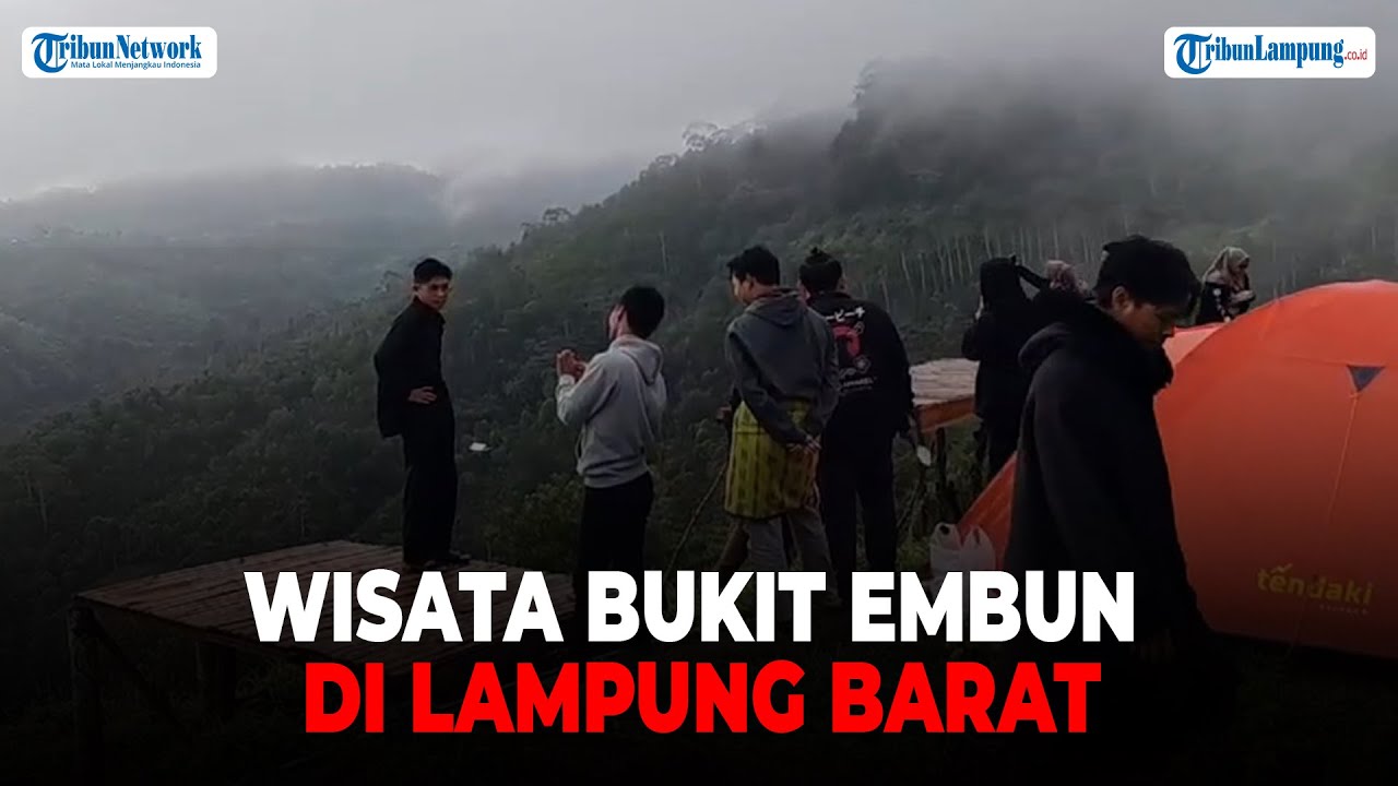 Nikmati Sajian Panorama Alam Lampung Barat di Wisata Bukit Embun - YouTube