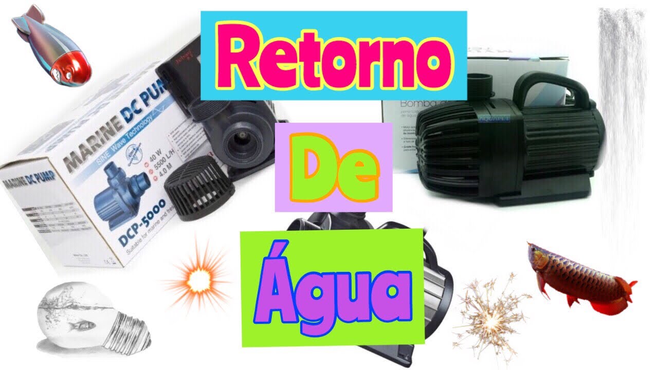 BOMBA de RECALQUE e retorno de ÁGUA de meus AQUÁRIOS - YouTube