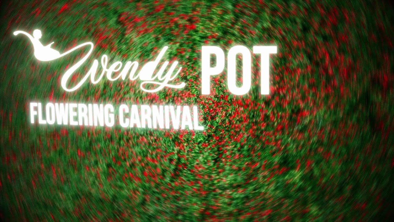 Wendy Pot: FLOWERING CARNIVAL - OFFICIAL VIDEO - YouTube