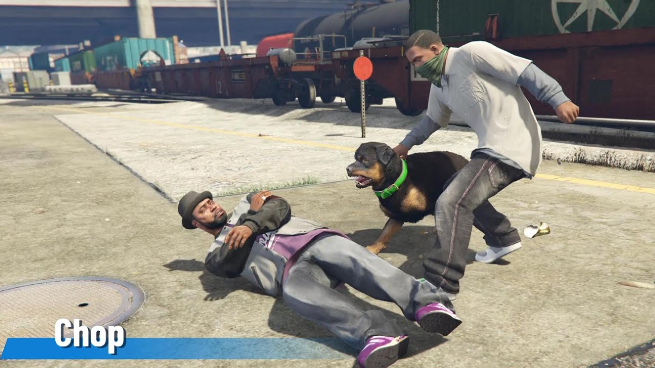 What r u doin Chop?🤣GTA V MISSION - Chop (100% Completion) Story Mode ...