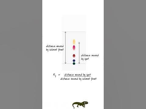 How do I calculate a Rf value in chromatography? - YouTube
