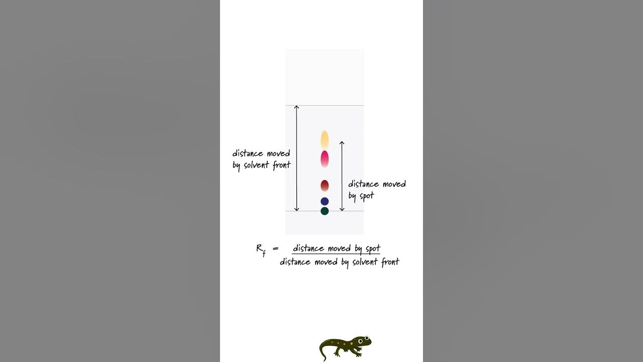 how-do-i-calculate-a-rf-value-in-chromatography-youtube