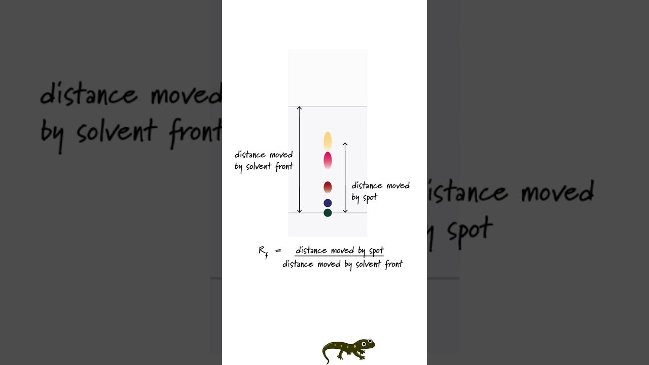 How Do I Calculate A Rf Value In Chromatography YouTube How Do I Calculate A Rf Value In Chromatography YouTube