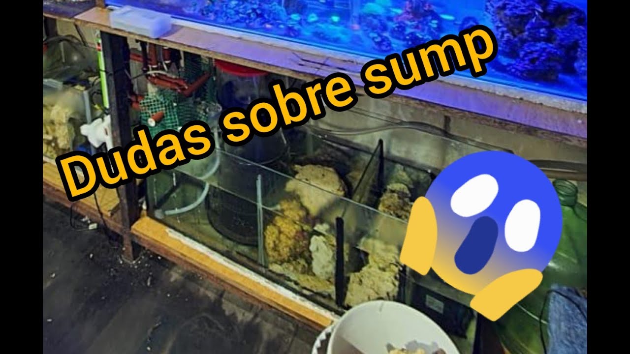 como hacer un sump - YouTube