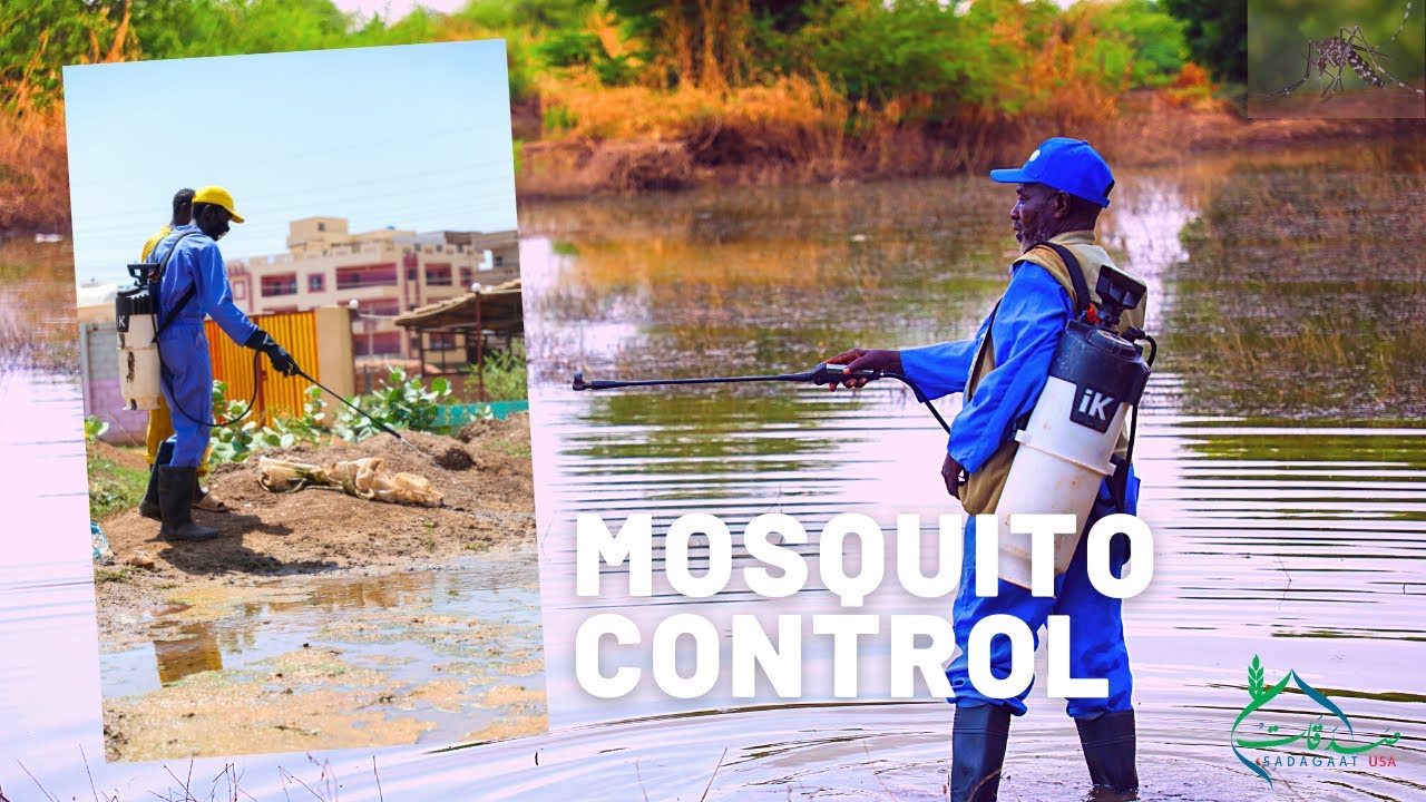 Vector Control (Mosquito) - YouTube