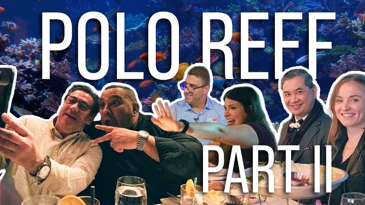 Andrew Sandler and Polo Reef - Second visit! - YouTube