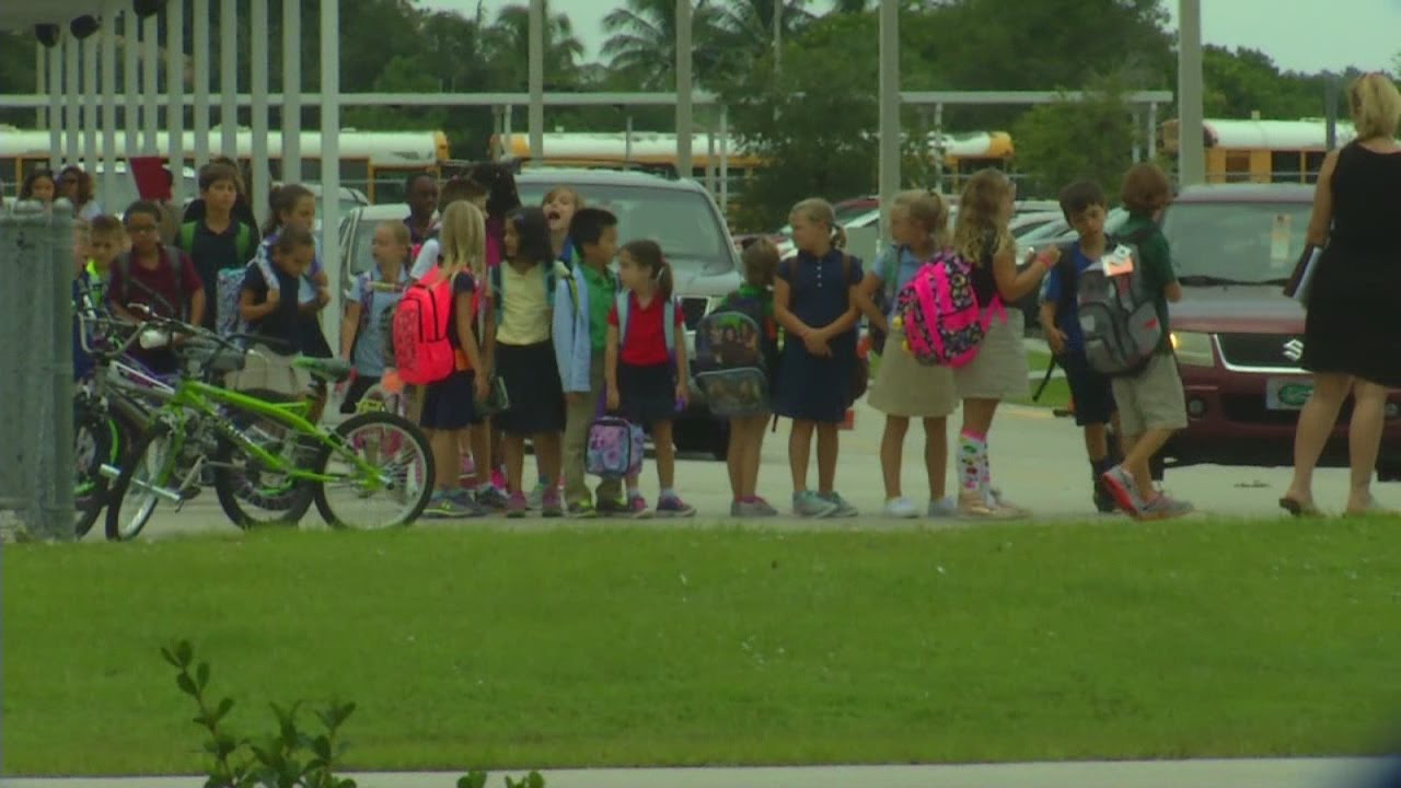 Treeline Elementary walk path concerns - YouTube