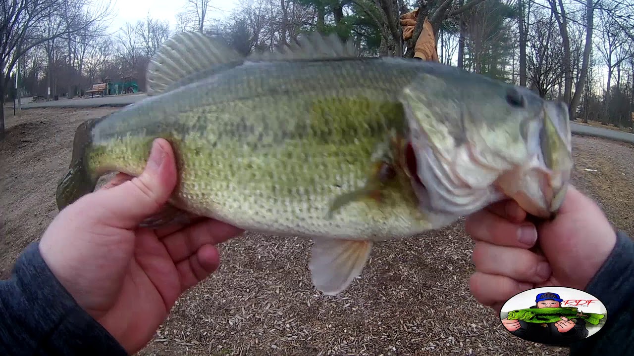 Fishing a New Jersey pond (Overcast day) - YouTube