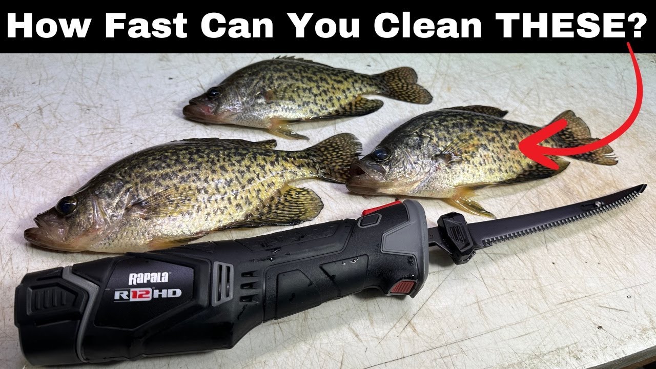 How to Fillet Crappies With an Electric Fillet Knife (FASTEST Way ...