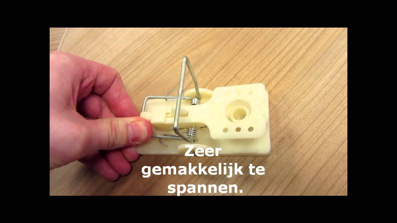 Roomwitte Muizenval Blanco - YouTube