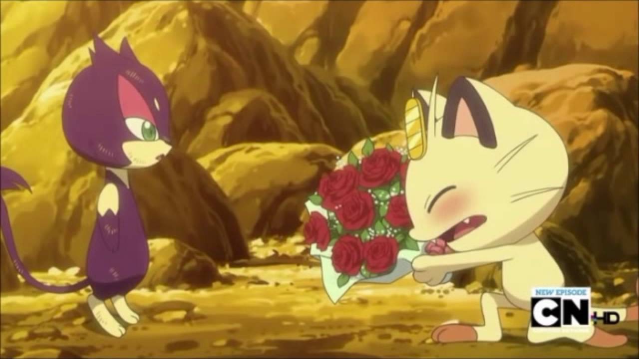 Meowth and Oshawott ask Purrloin out - YouTube
