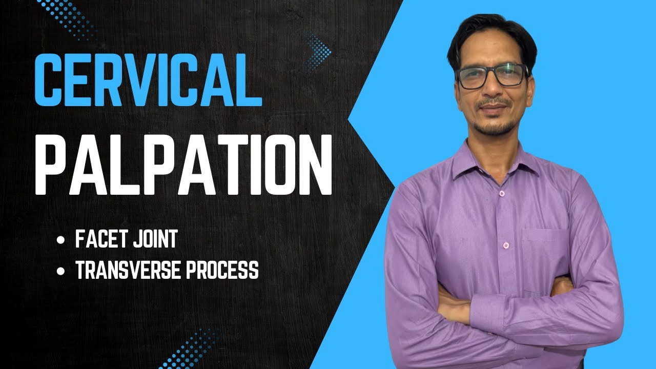 Cervical Spine Palpation | Identify Facet Joints & Transverse Processes ...