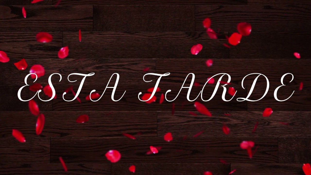 ESTA TARDE DIRECTO ESPECIAL - YouTube