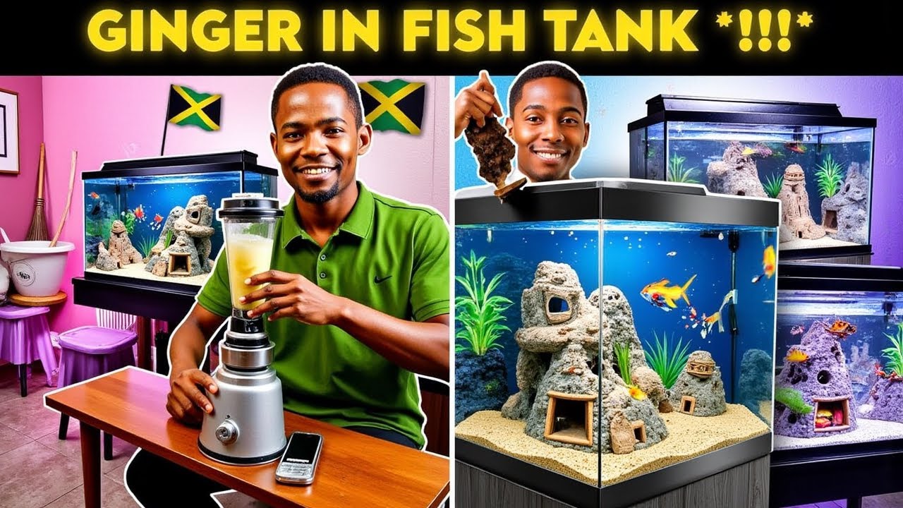 Unlock the Secret to a Thriving Aquarium: Transform Your Tank with ...