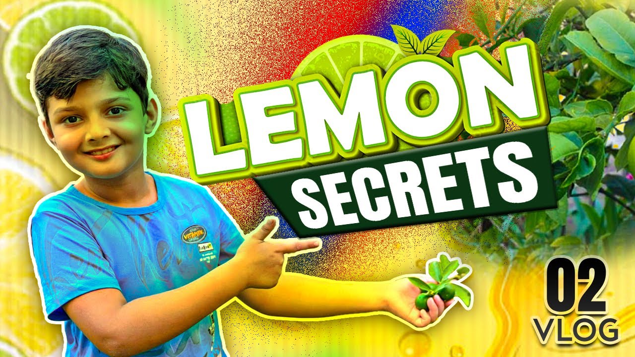 Blog #2 || 10 Thing you need to know about Lemon Secret || A Day in the ...