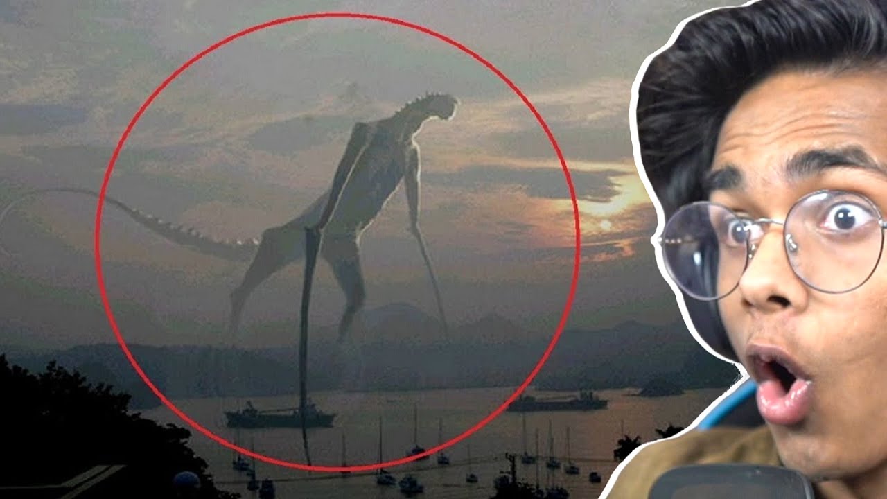 Mysterious Creatures Caught on Camera - YouTube