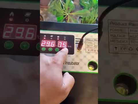 İnkubatorların satışı. Tel:+994552509500 #inkubator #cücə #fyp #keşfet #aqro #bakı