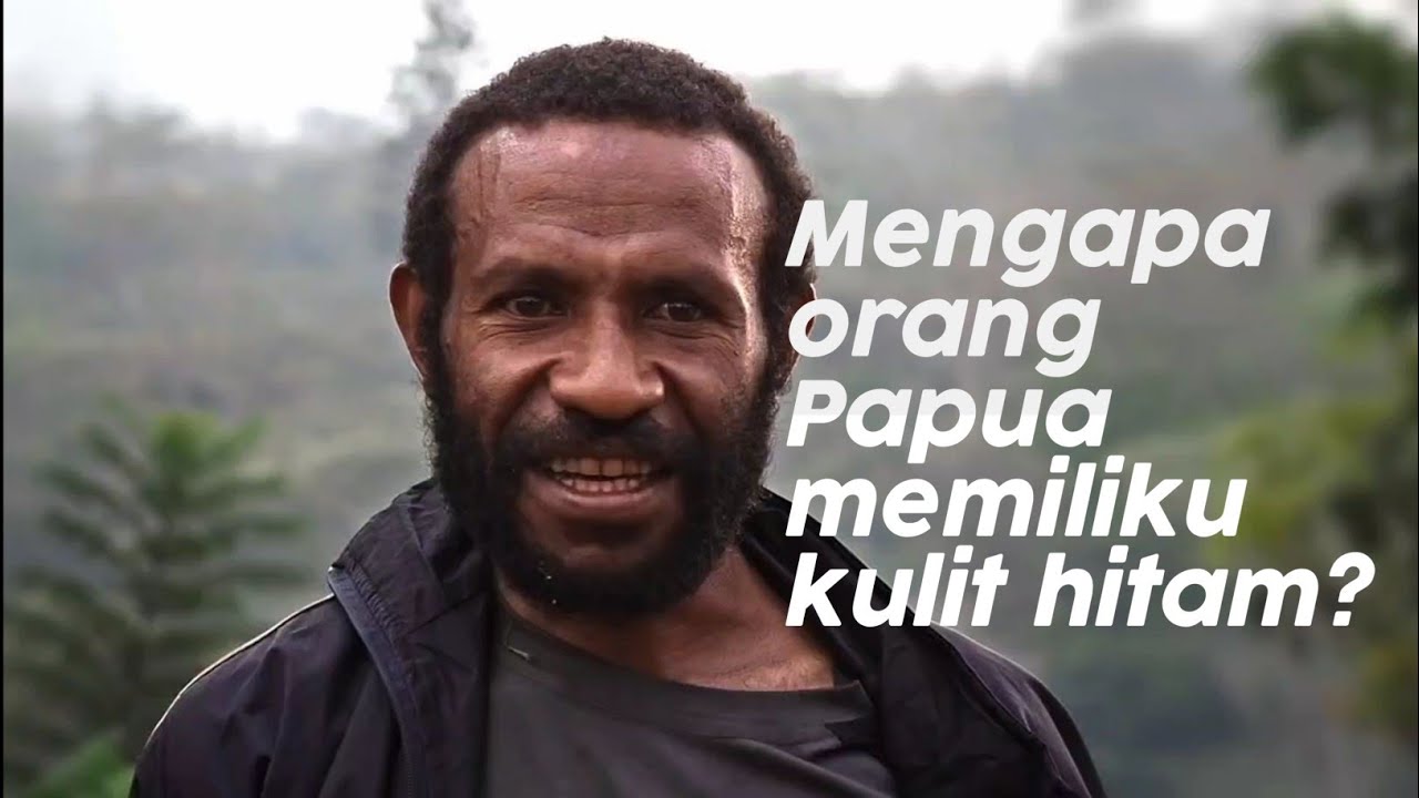 Mengapa orang Papua berkulit hitam? - YouTube