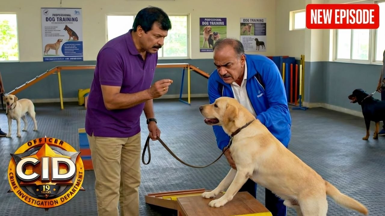ACP और Freddy ने Labrador dog को दी स्पेशल ट्रेनिंग CID || Latest ...