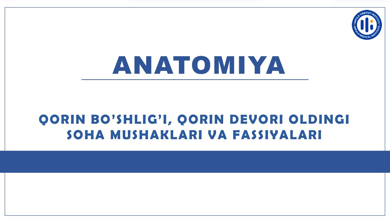 Qorin bo’shlig’i devori, muskullari va fassiyalari - YouTube