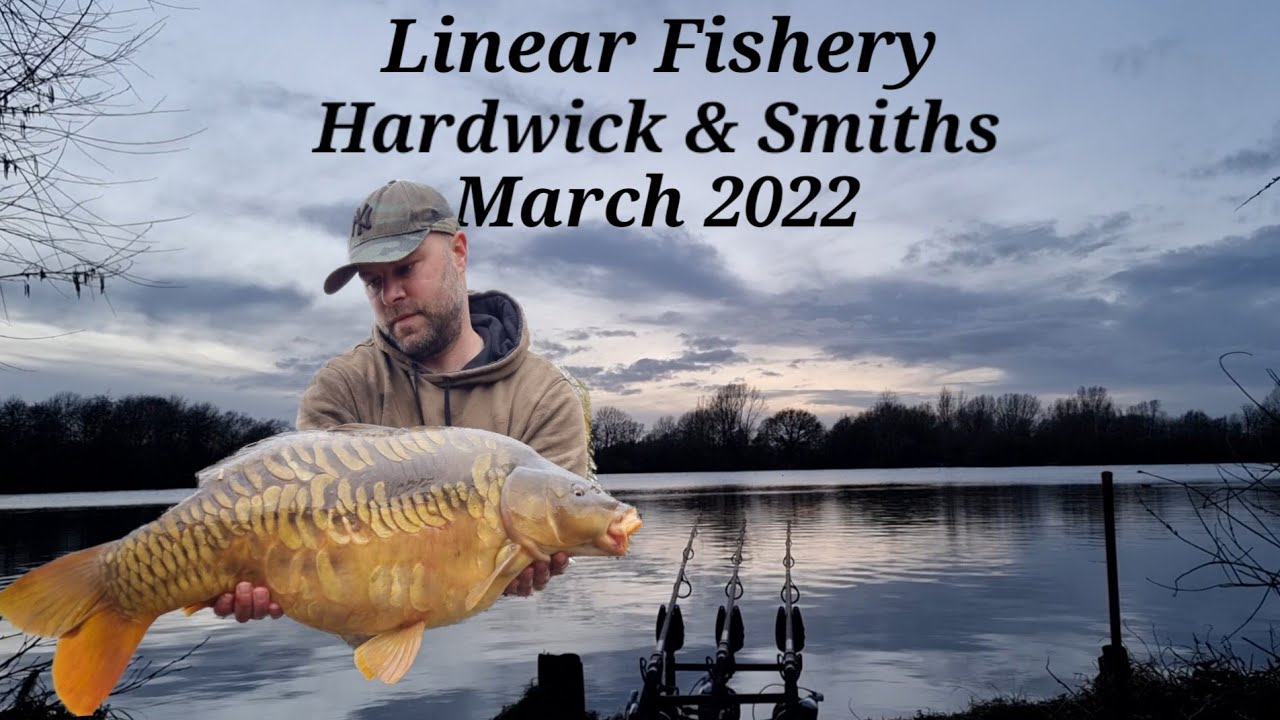 Linear Fishery, Hardwick & Smiths Lake, Winter Carp Fishing, March 2022 ...