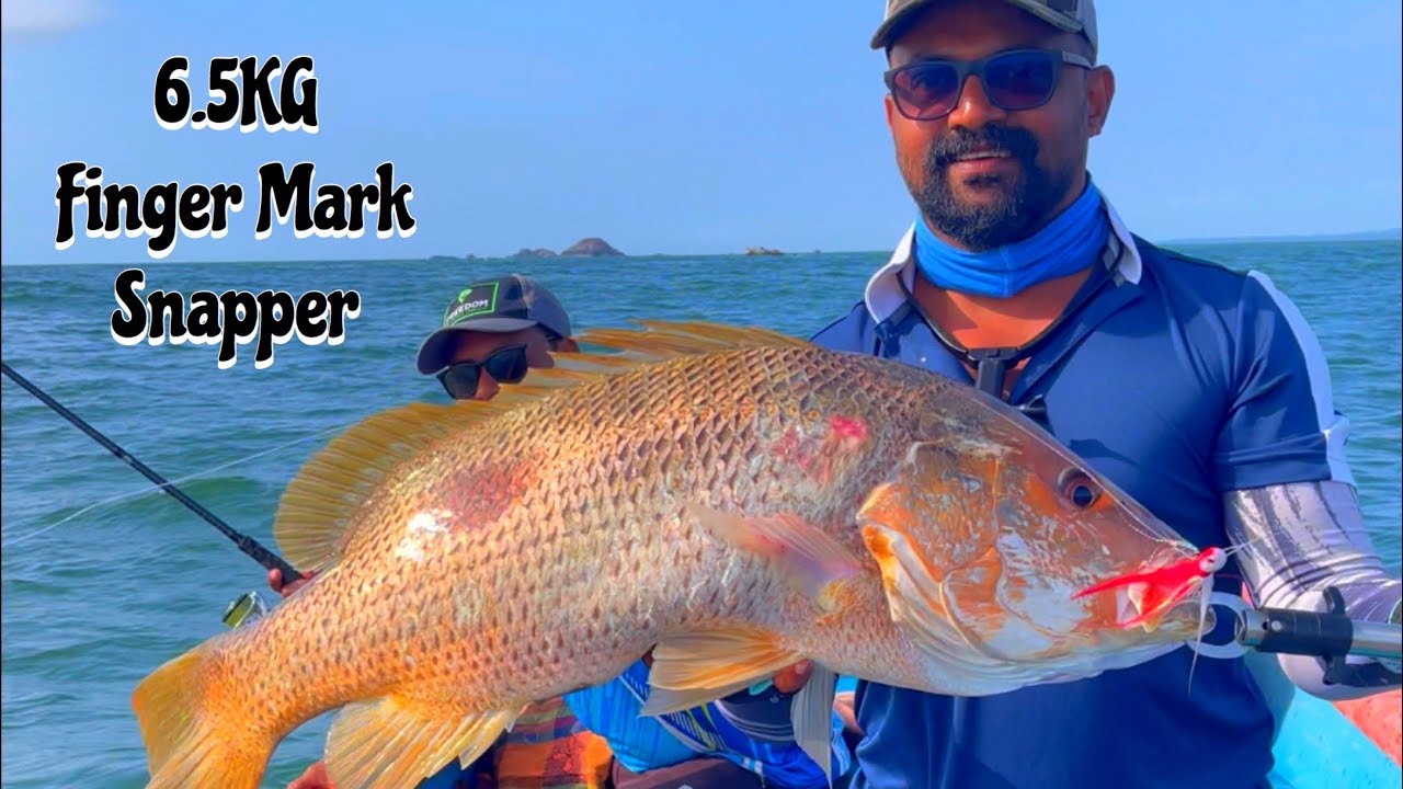 ആറര കിലോ ഫിങ്കർ മാർക്ക് ചെമ്പല്ലി 😱 | 6.5KG finger Mark Snapper on Spro BuckTail - YouTube