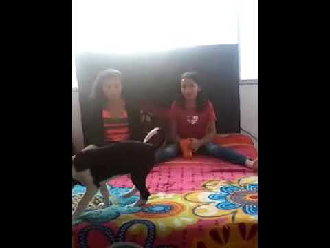 Maria luisa fernandez leon - YouTube