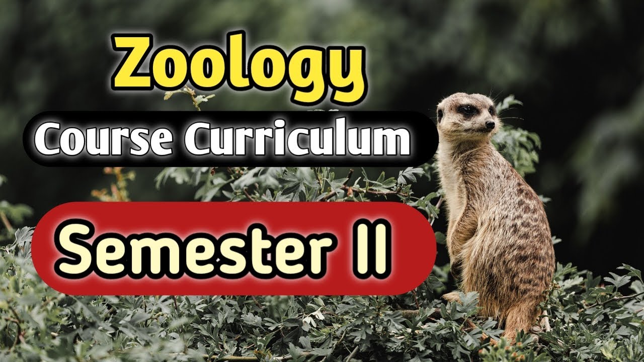 Department of Zoology Course Curriculum Semester II । Dynamic Studies ...