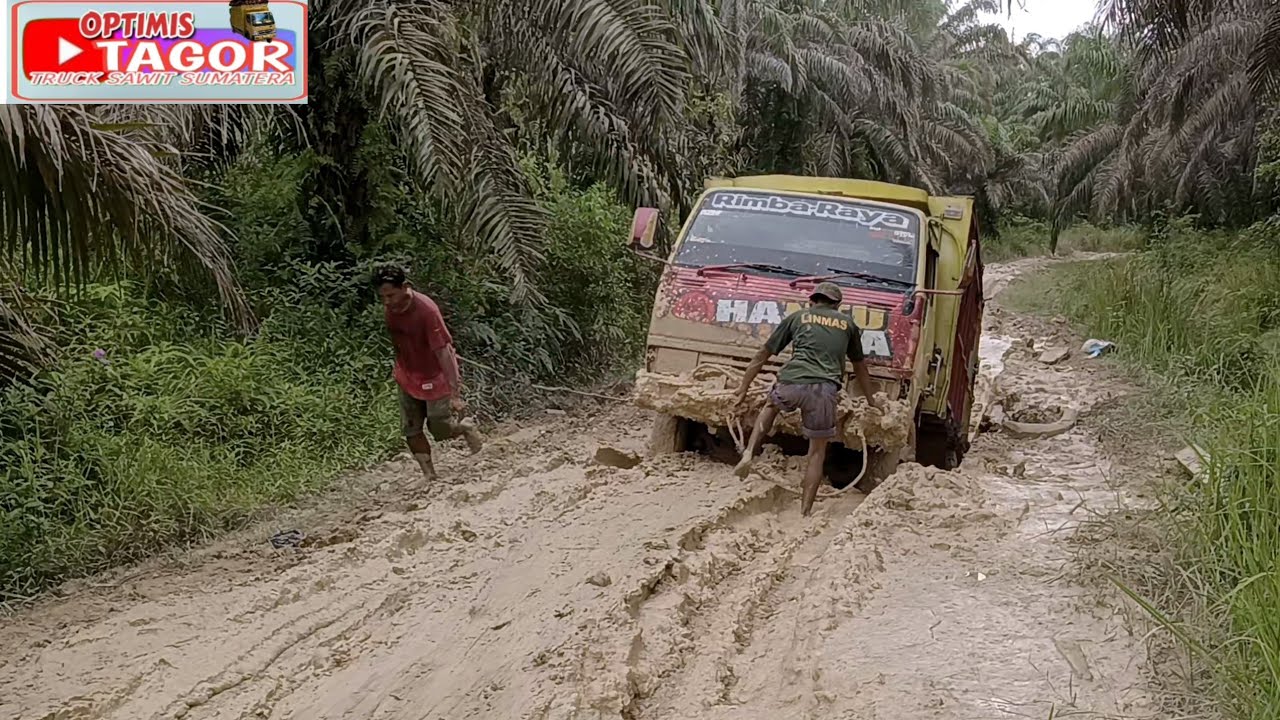 drama perjuangan jet tempur RIMBA RAYA GROUP taklukkan jalan sumur ...