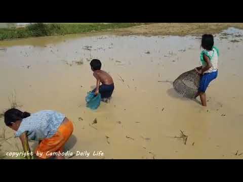 Brave little kids catch a big snake in the river... - YouTube