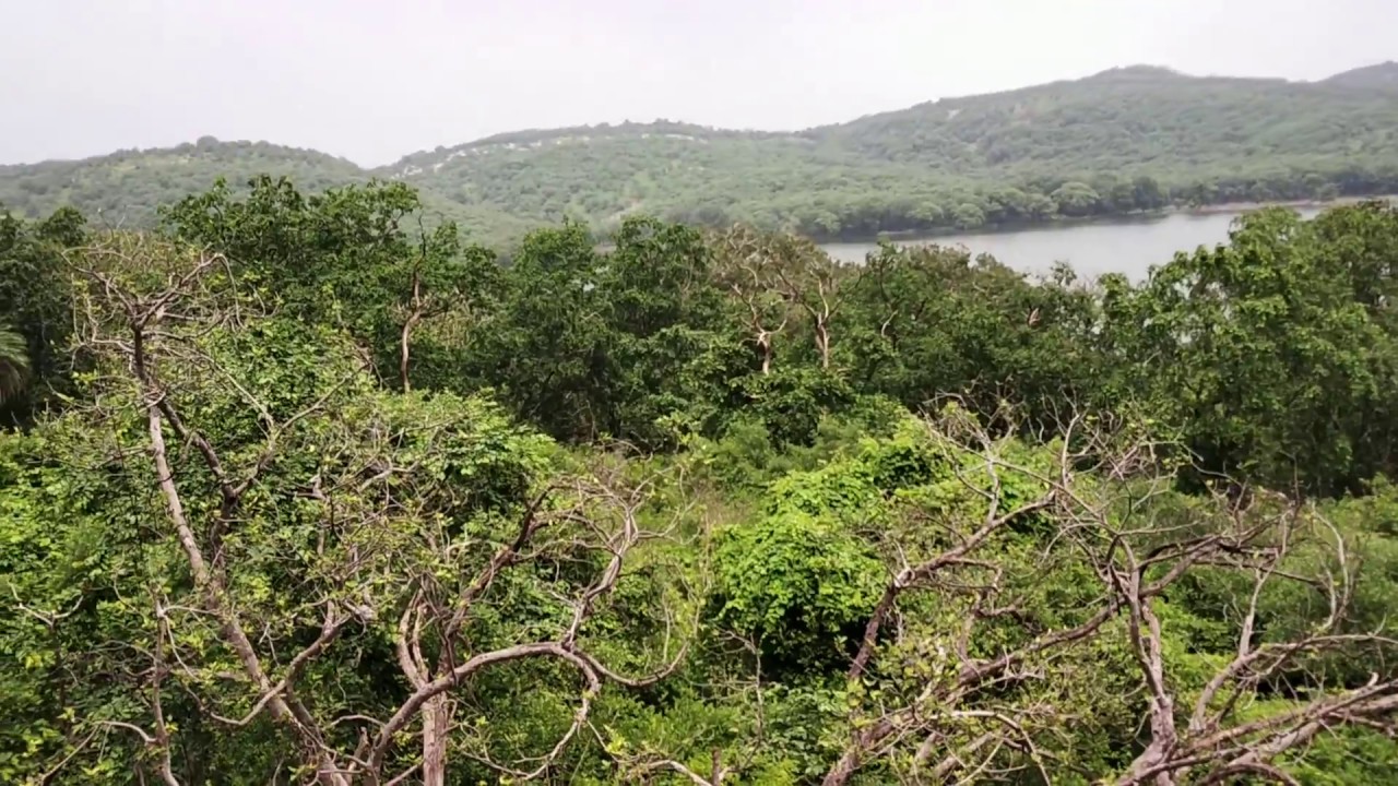 Landscape view of Ranthambore National Park from Ranthambore fort ...