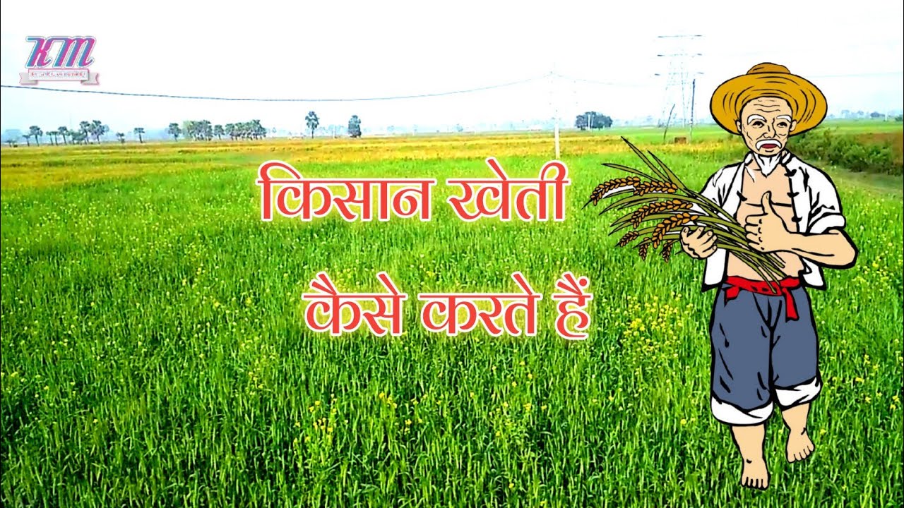 2020 New video Bihar farming | गाँव मे गेहूं की खेती कैसे होती है ...