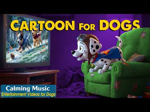 Dog Cartoon: Best Dog TV for Anxious Dogs Home Alone | Entertaining Videos for Dogs + Relaxing Music