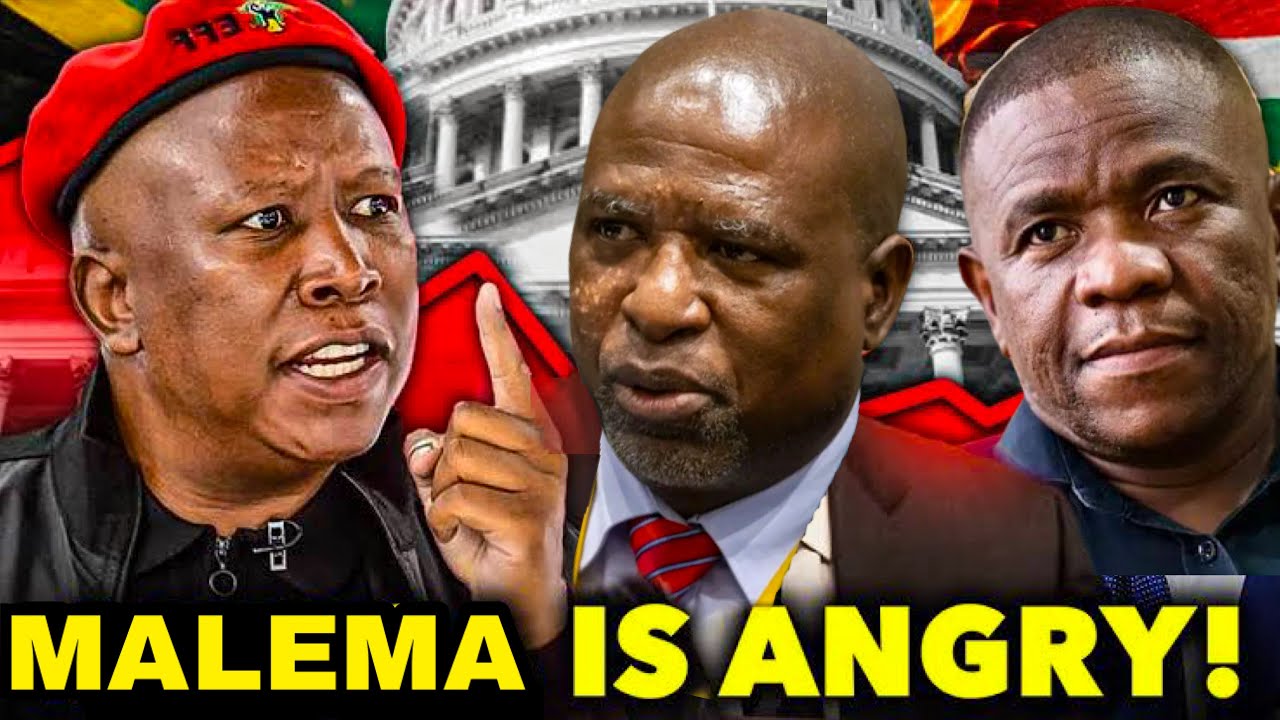 JULIUS MALEMA IS ANGRY 😡 MKHWANAZI PORTFOLIO COMMITTEE - YouTube