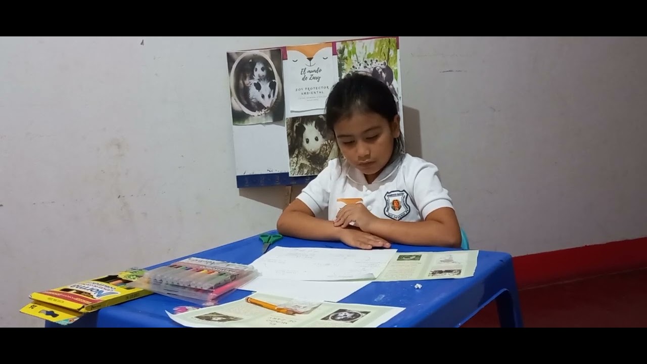 El mundo de Zary - YouTube