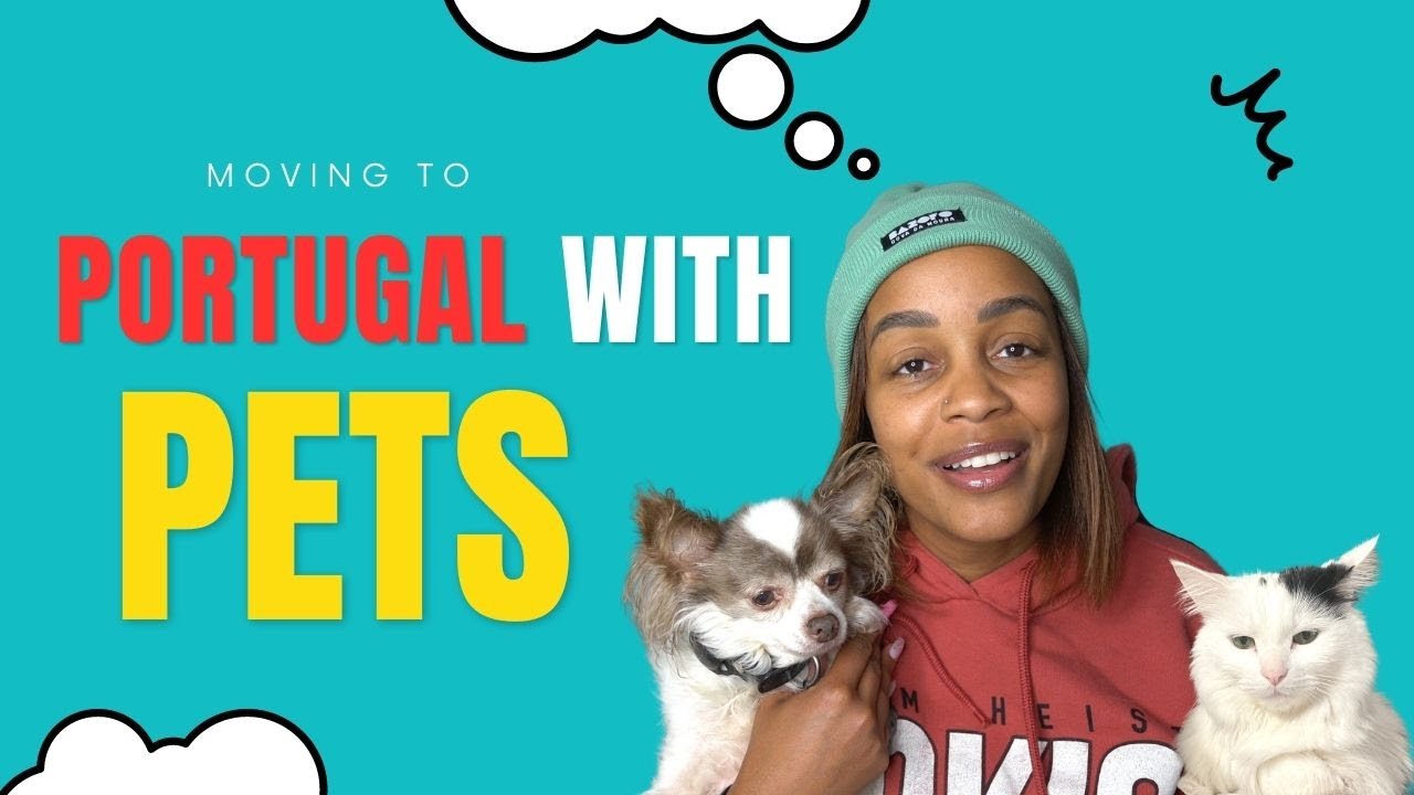 Moving to Portugal with pets? | Watch this and take notes | Life in ...