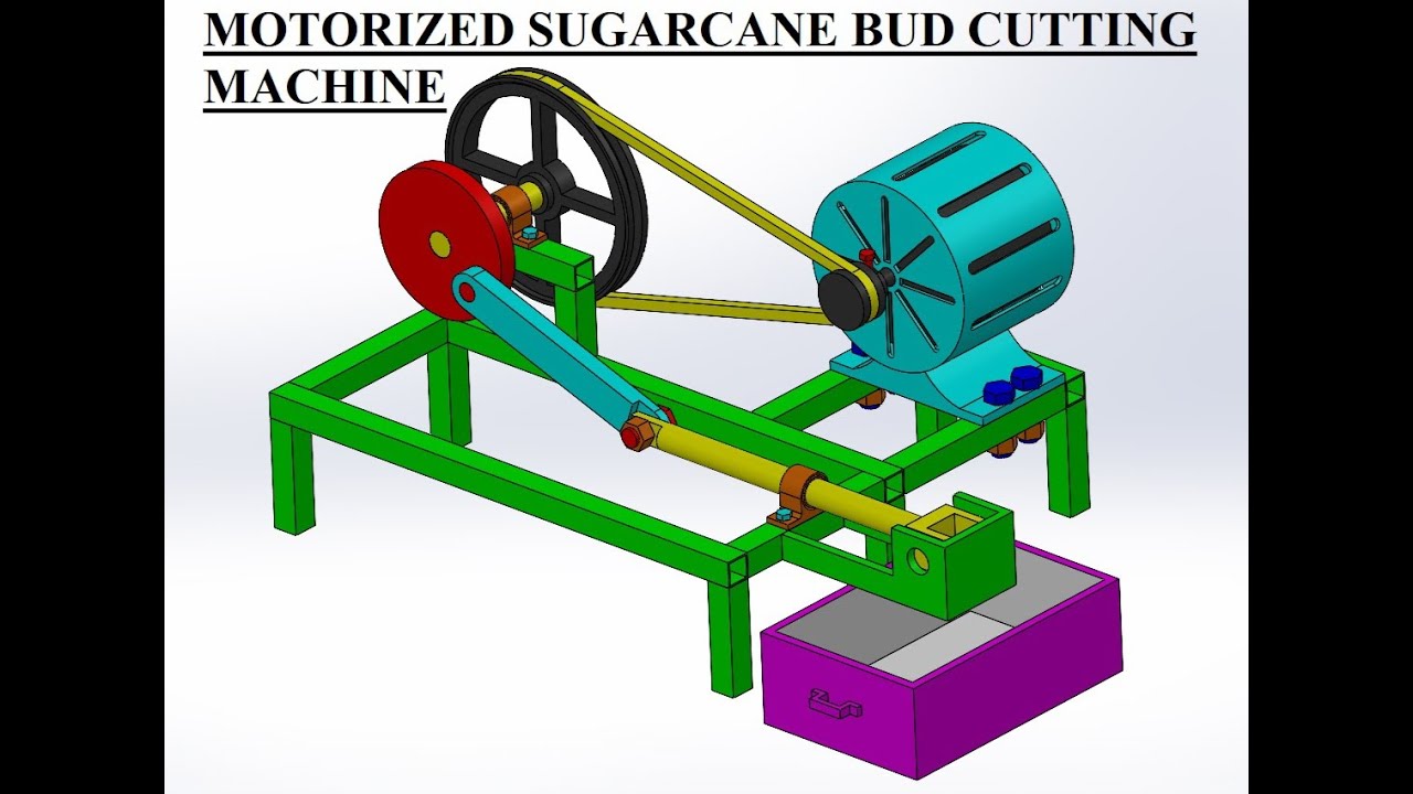 Sugarcane Bud Cutter at Winnie Norris blog