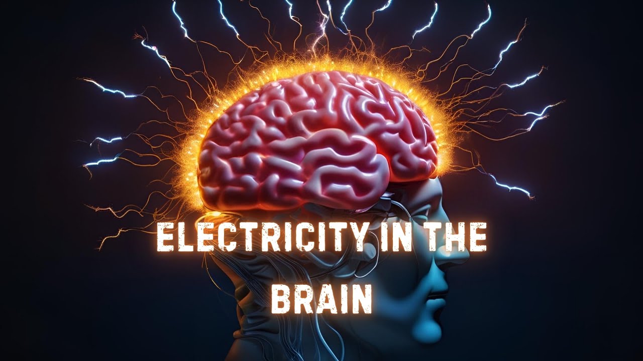 ELECTRICITY IN THE BRAIN - YouTube
