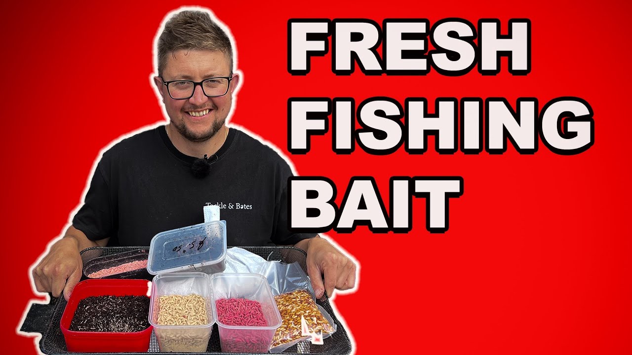 Confused About Match Fishing Bait? Maggots, Worms, Casters Explained ...